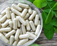 Le boldo : un allié naturel pour une meilleure digestion | Clic Bien-être